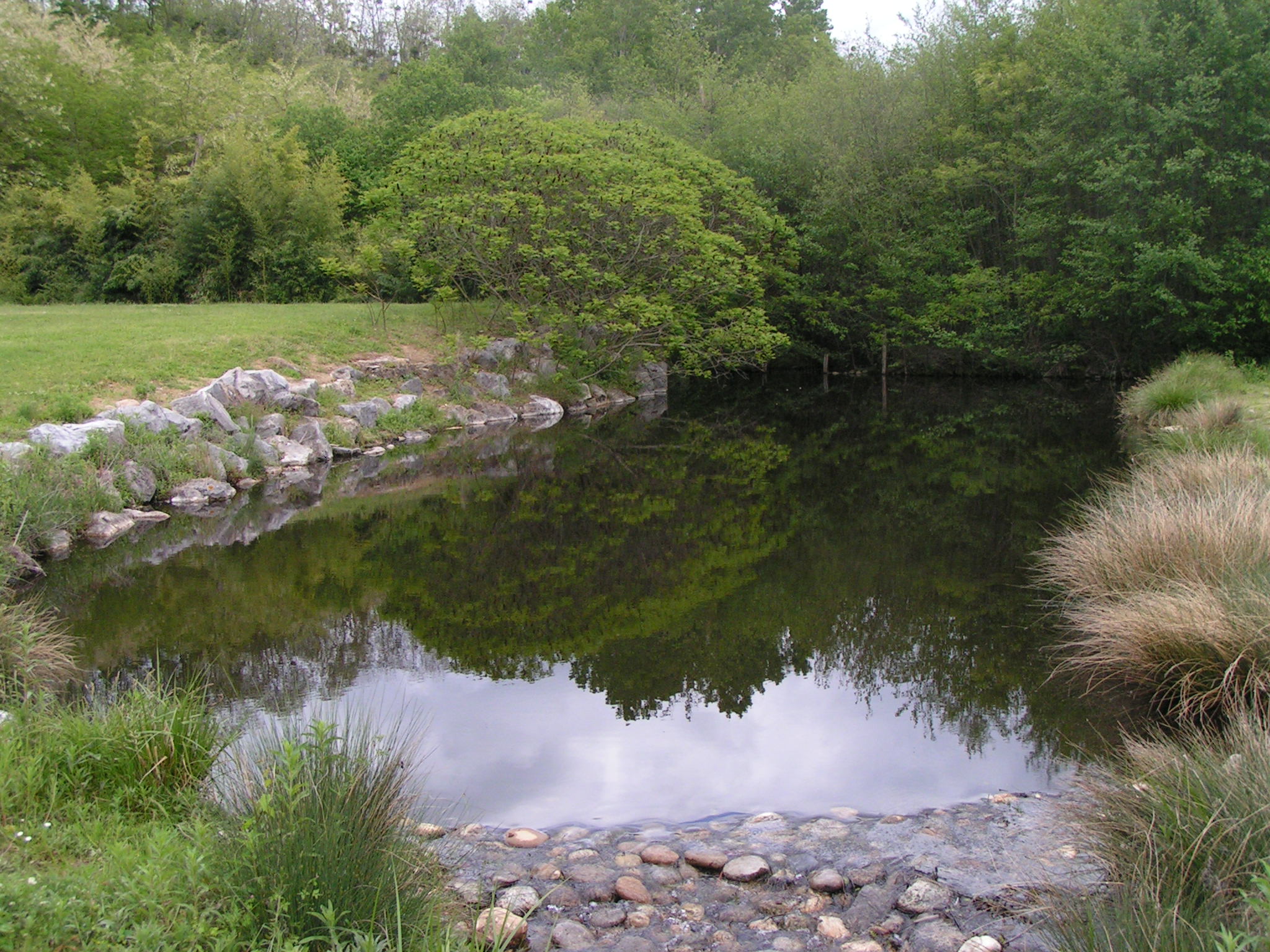 Commune de Saint-Jean-du-Falga - site officiel