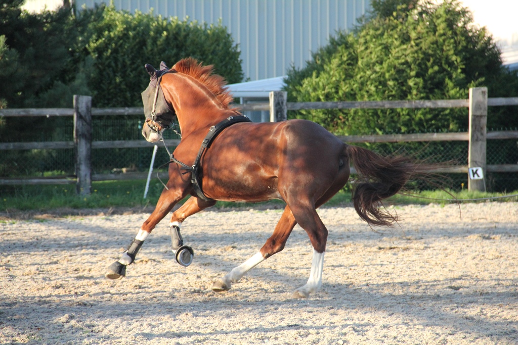 Commune de Houlbec-Cocherel