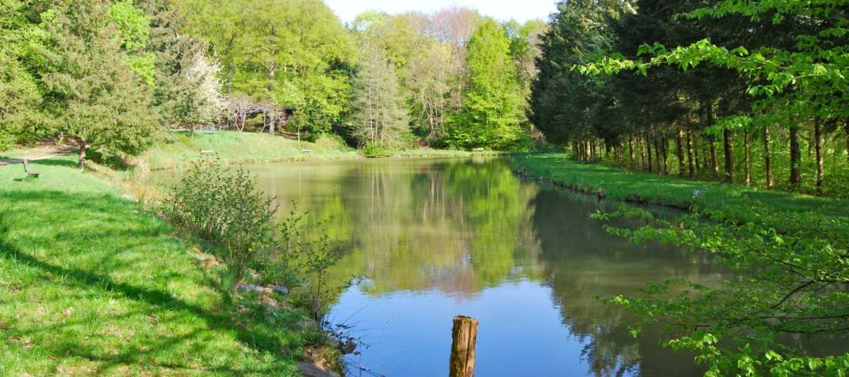 Commune de Wattwiller