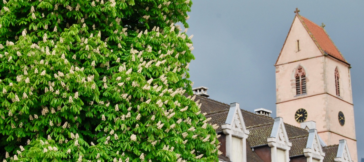 Commune de Wattwiller
